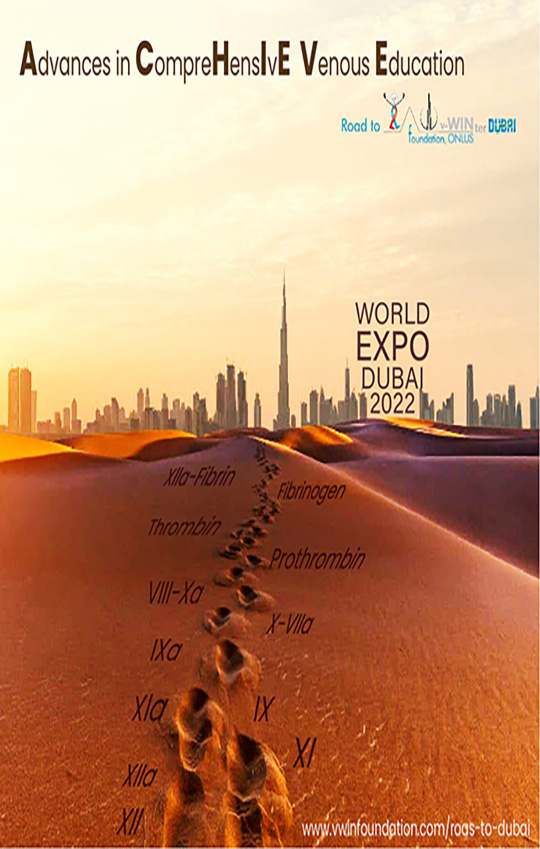 Road to vWinter Dubai – vWIN Foundation